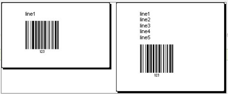 Designing Labels with Variable Length – Lighthouse for MAX